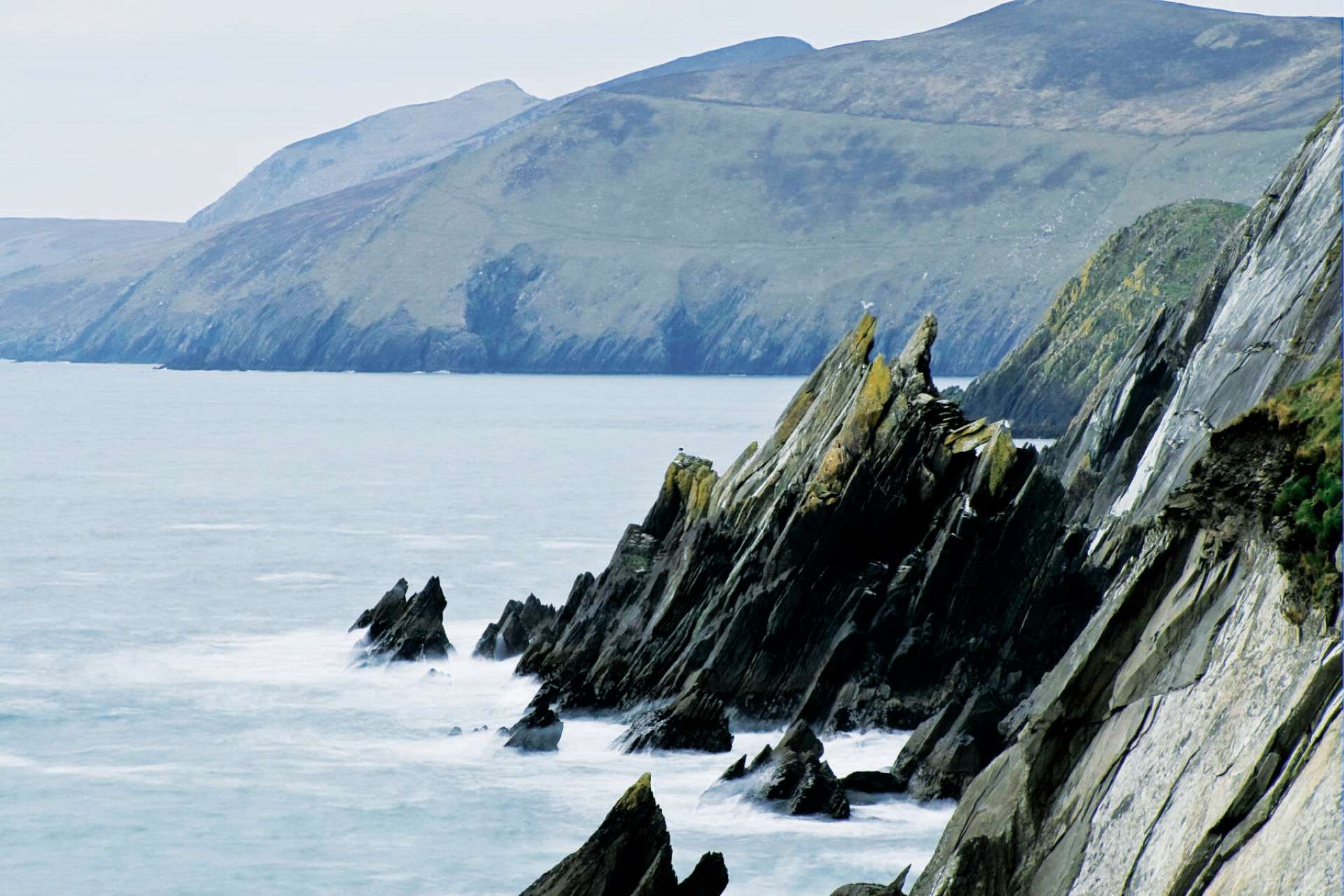 48 Hours Dingle Fun Tour Experience | 3* Dingle Benners Hotel