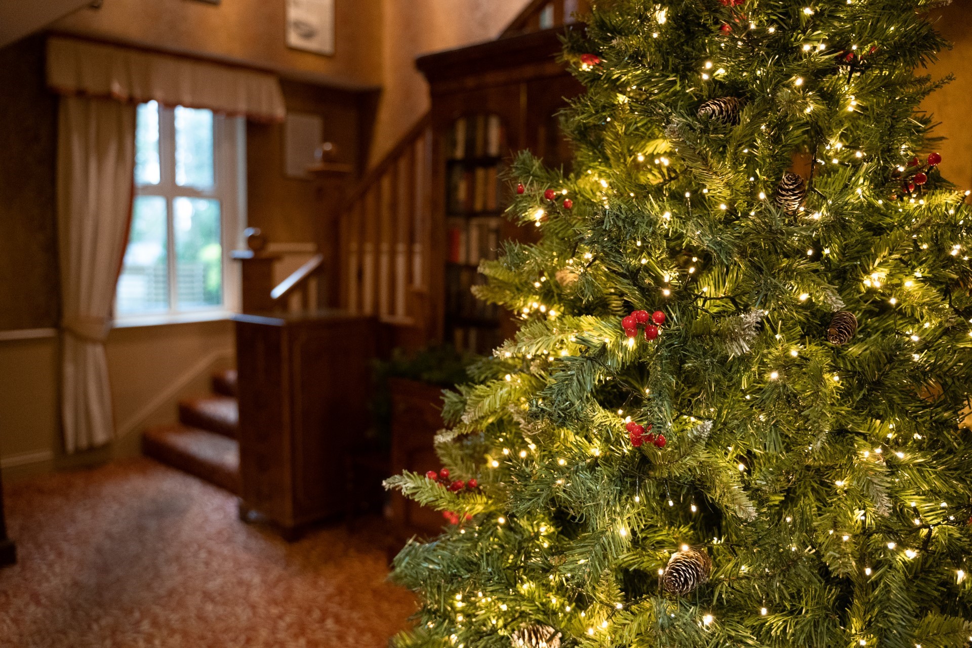 December In Dingle | Christmas Hotel Deals | Dingle Benners Hotel