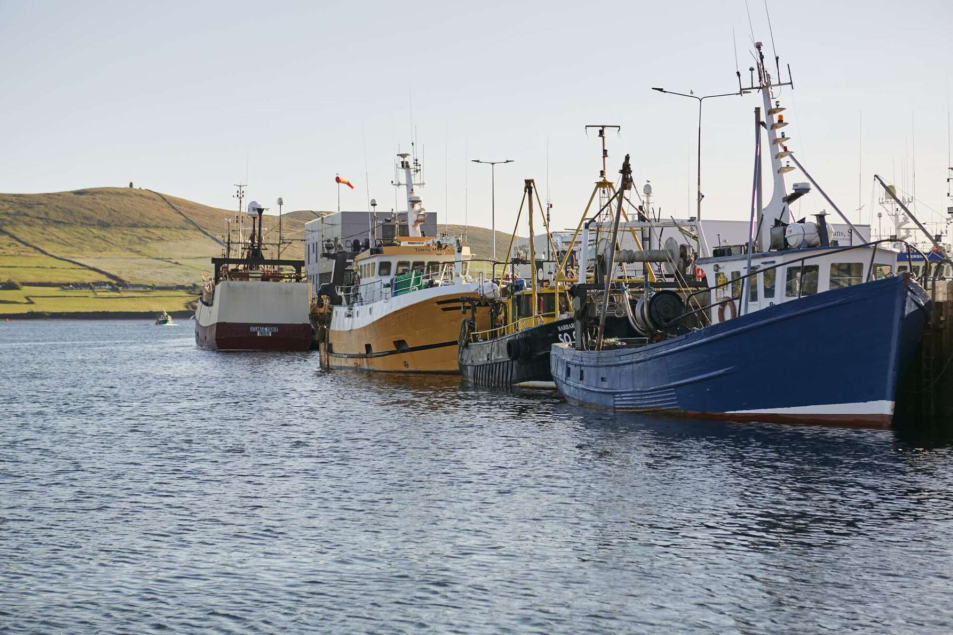 Dingle Boat Tours | Dingle Harbour Cruises | Benners Hotel