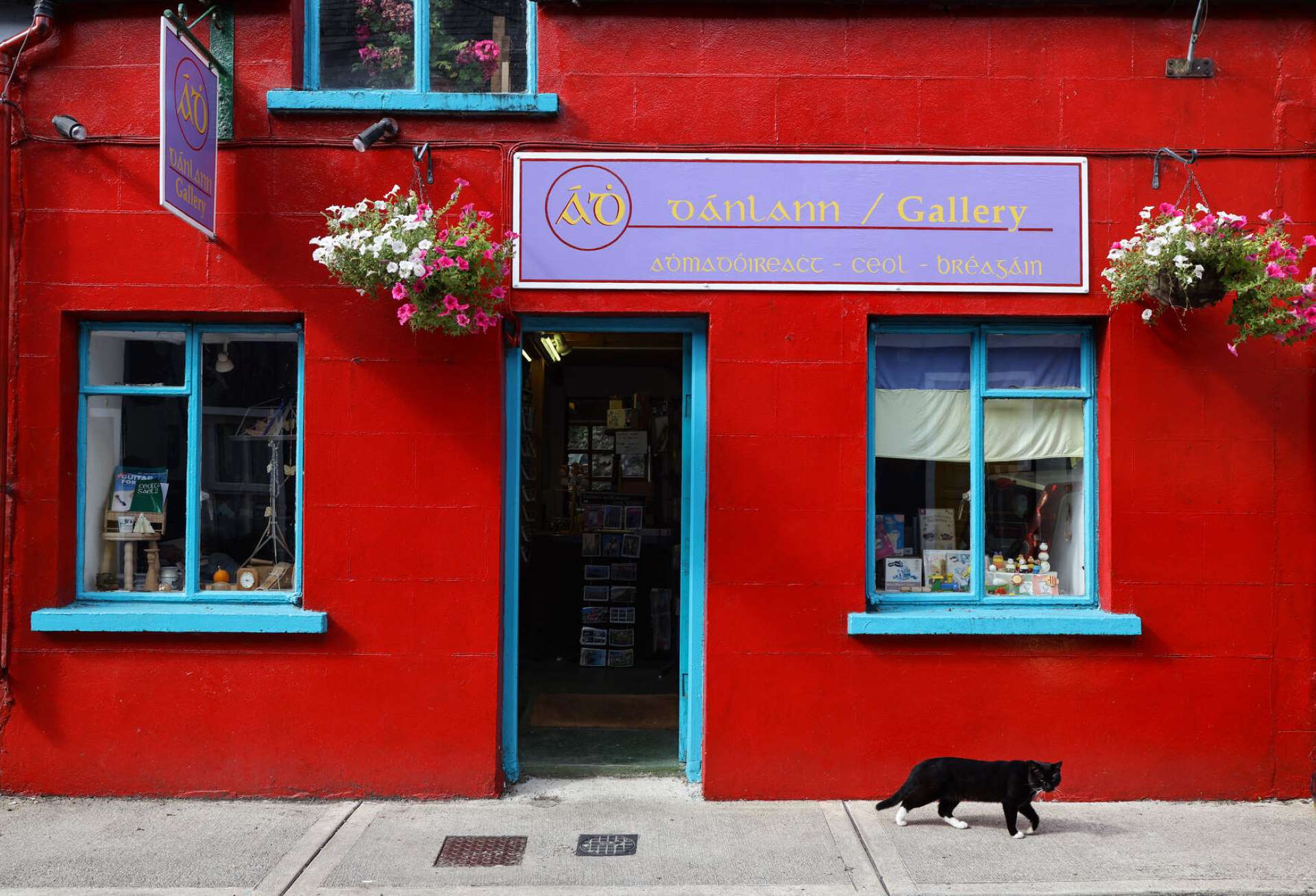 Dingle Foodie Town | Gourmet Breaks | 3* Dingle Benners